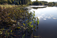 Environnement | Ville de Bromont
